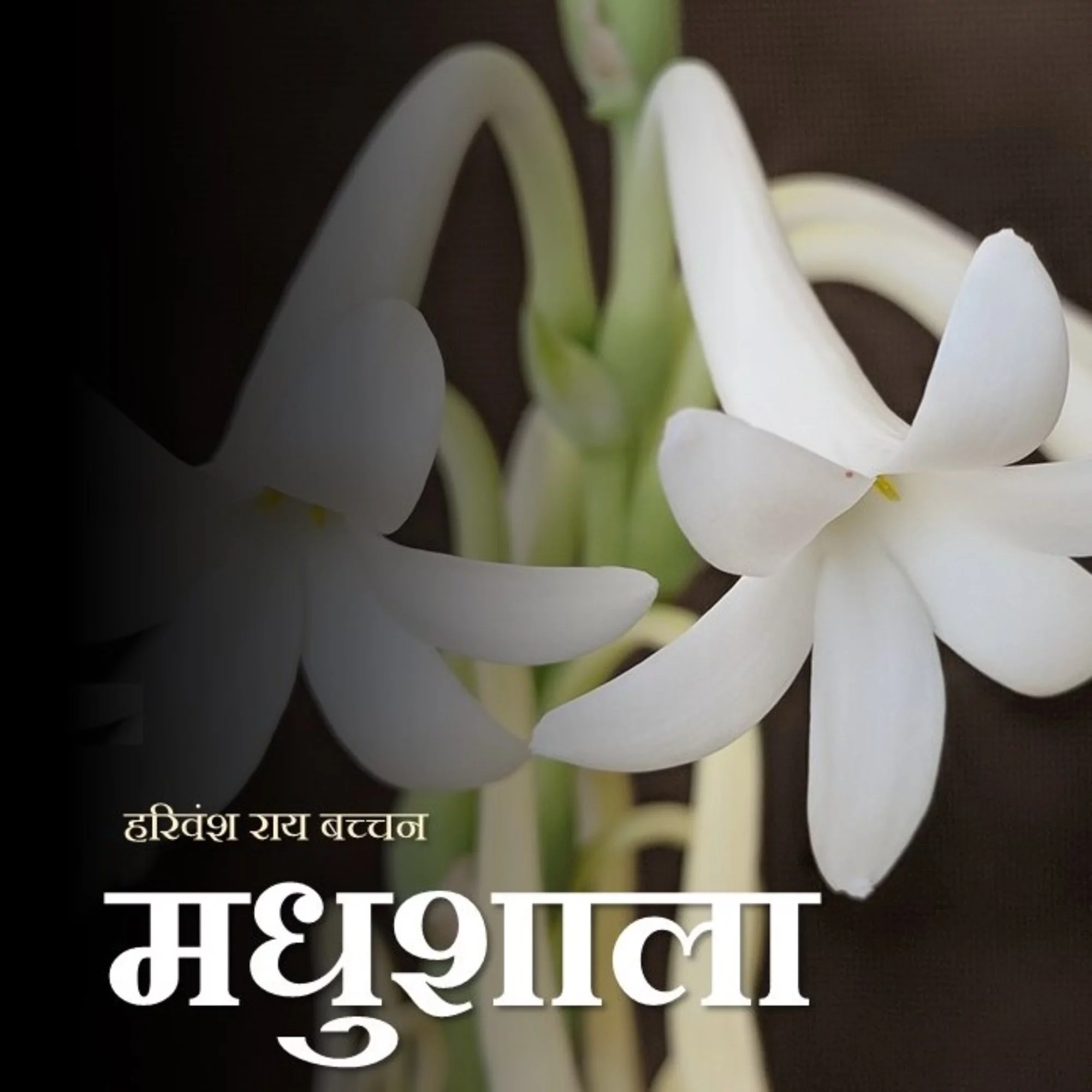 11. Bachchan's Madhushala, Mrig Trishna (Hindi Poetry)