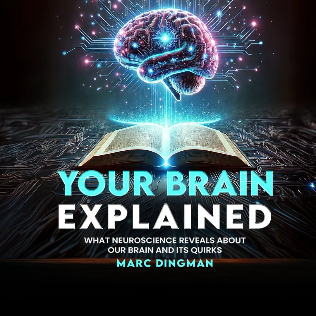 Your Brain Explained