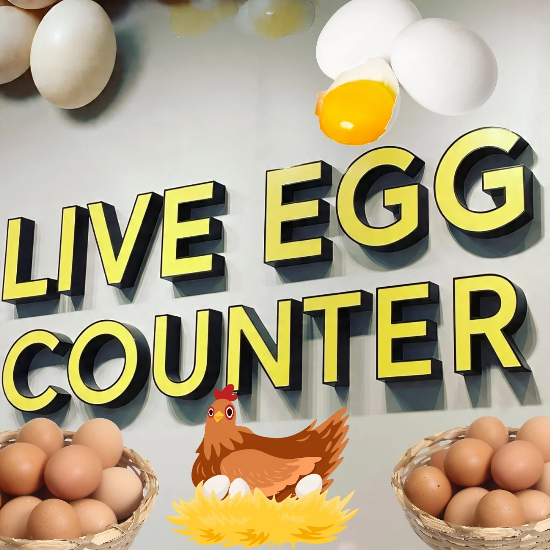 Live Egg Counter | Kukufm