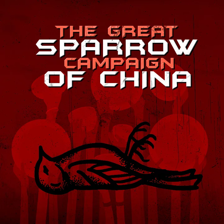 The Great Sparrow Campaign Of China