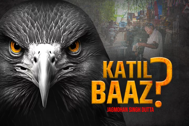 Katil Baaz