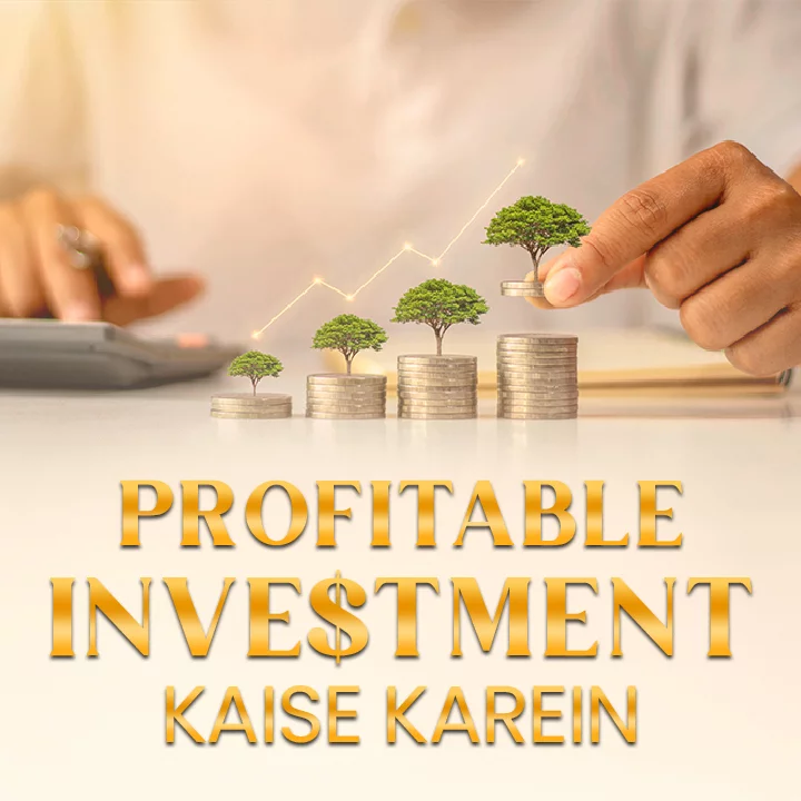 Profitable Investment Kaise Karen