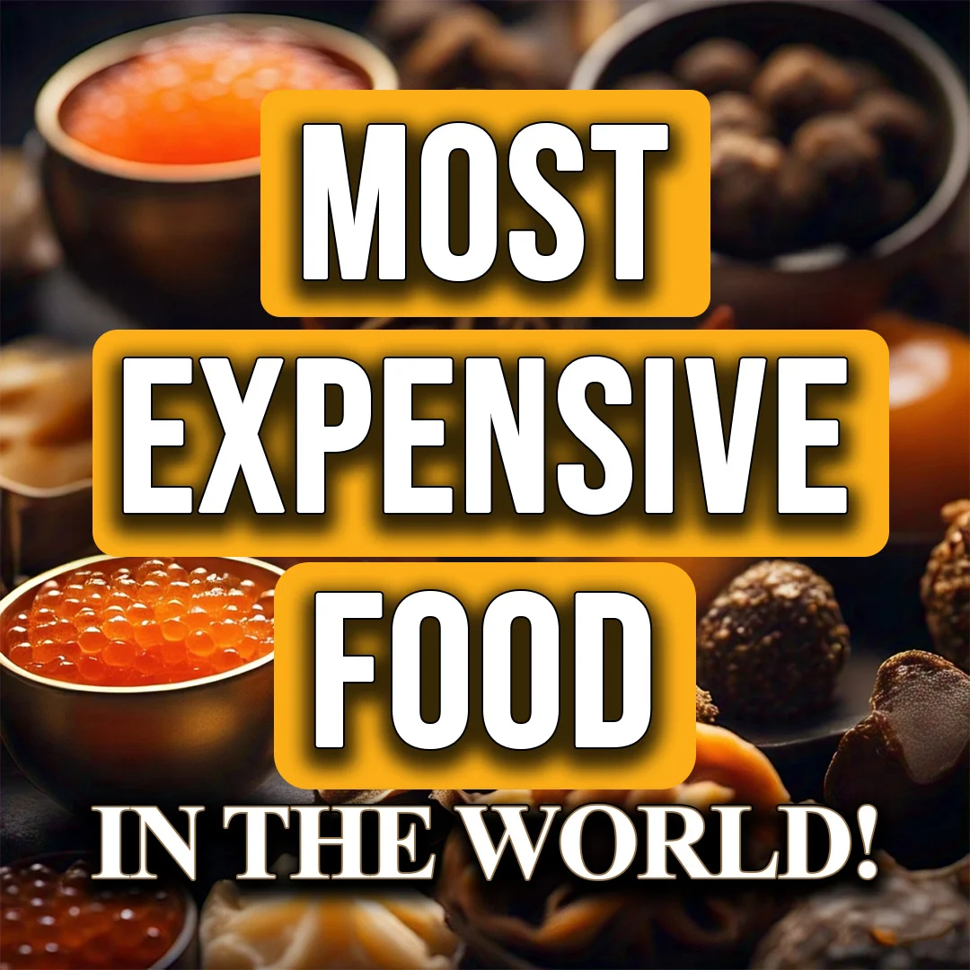 Most Expensive Foods In the World – All Episodes | Guru