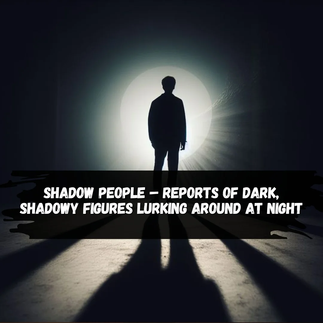 Shadow People – Reports of dark, shadowy figures lurking around at ...