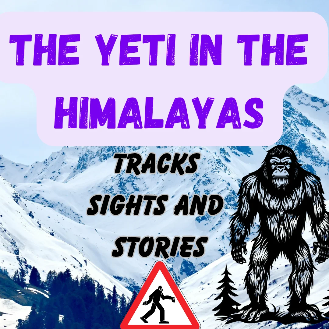 The Yeti in the Himalayas: Tracks, Sightings, and Stories