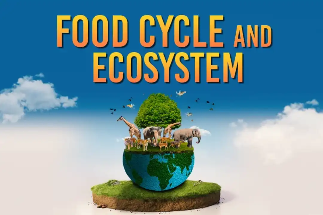Food Cycle And Ecosystem - Listen Full Series Online | Kuku FM