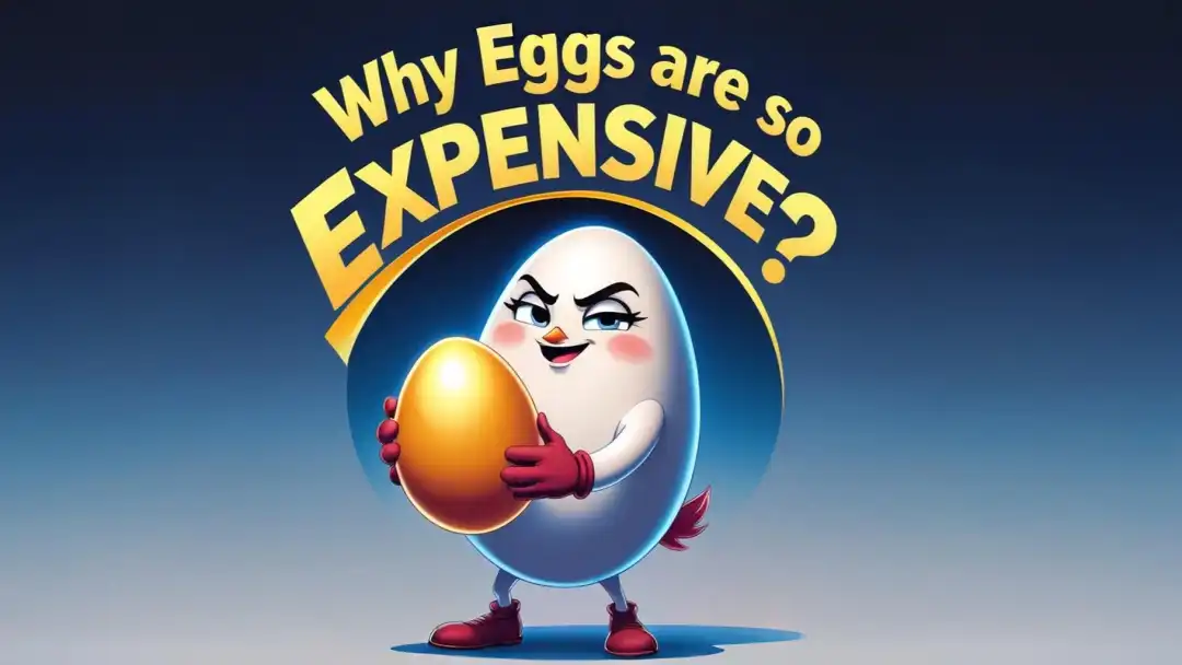 Why Are Eggs So Expensive? – The real reason behind inflation. | Kukufm