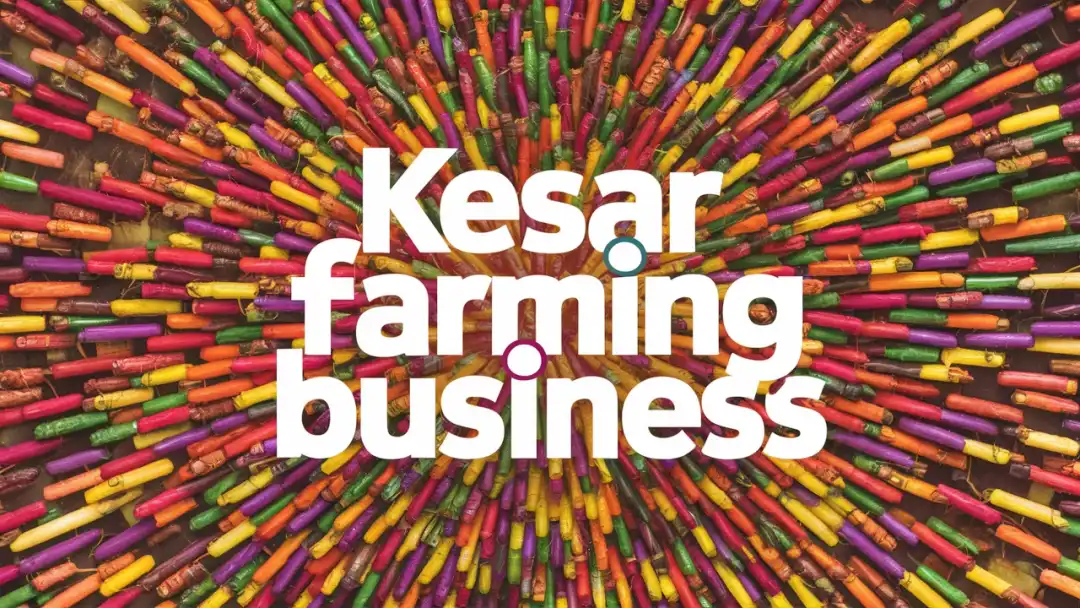 Kesar Farming Business