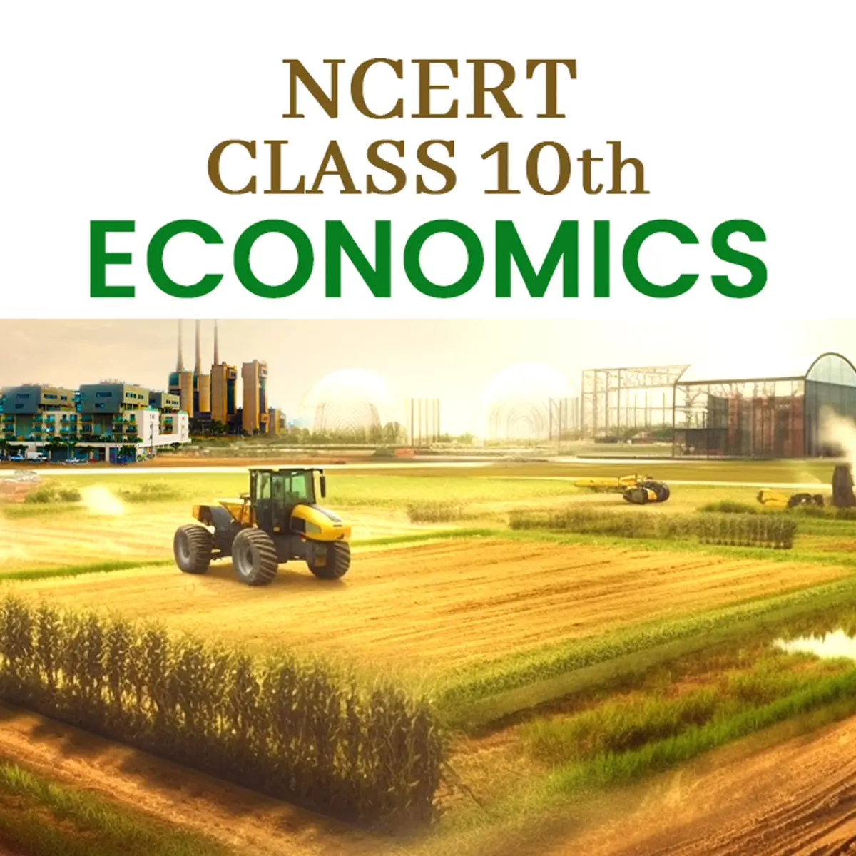 NCERT Class 10th Economics
