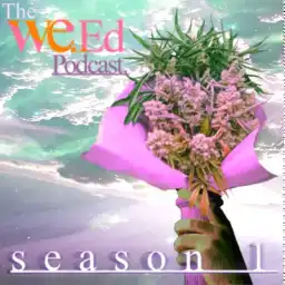 C103 Pass 1: History of Prohibition