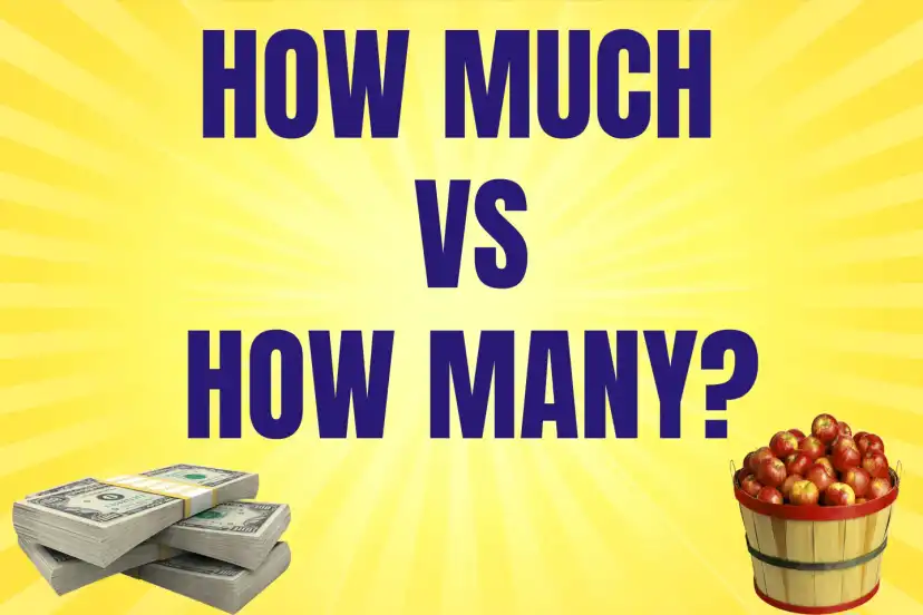 How Much Vs How Many? - Watch Full Series Online | Guru